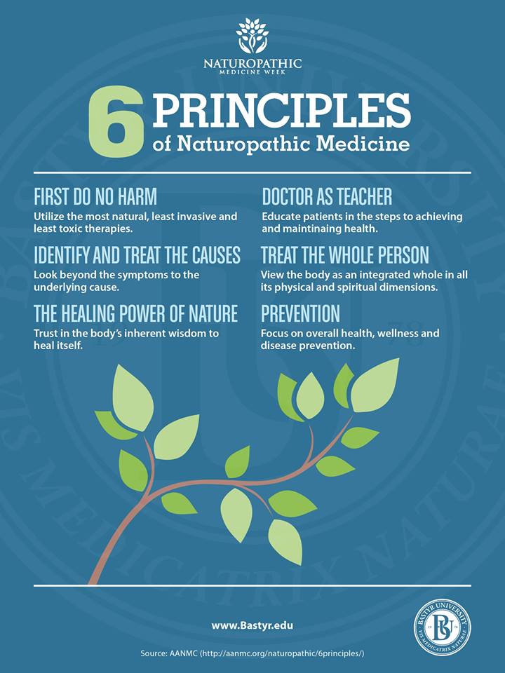 6 Principles of Naturopathic Medicine… Plus One. – Quantum Healing